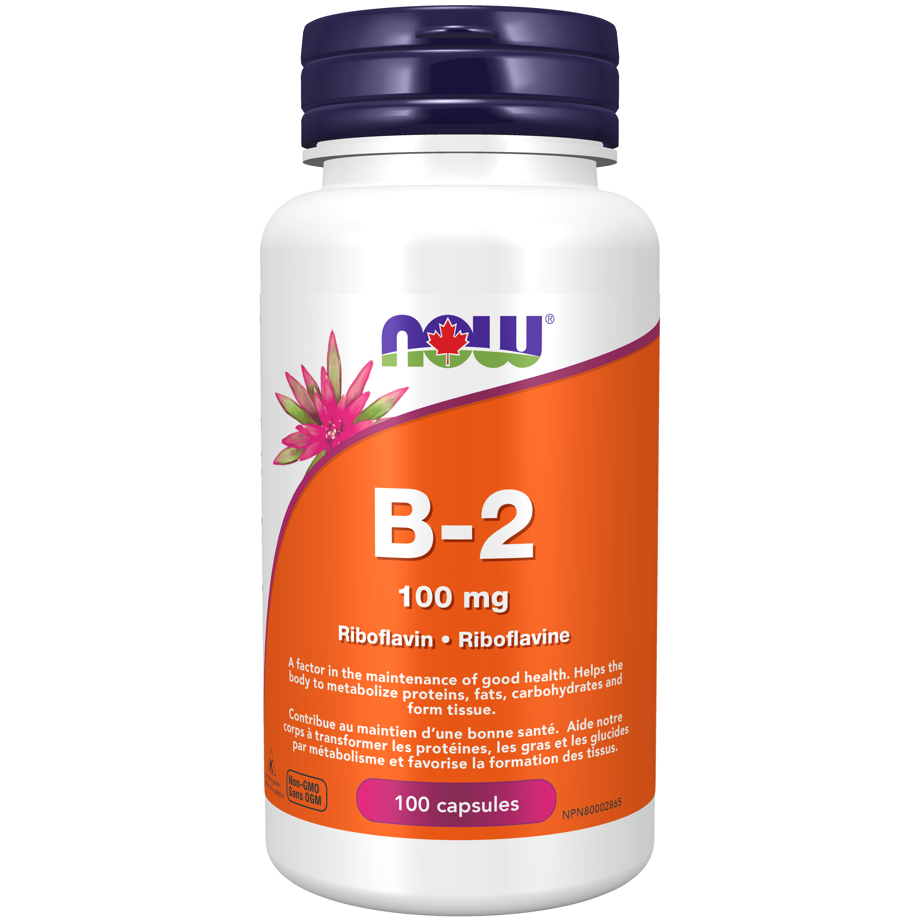 NOW B-2 100mg 100 Capsules