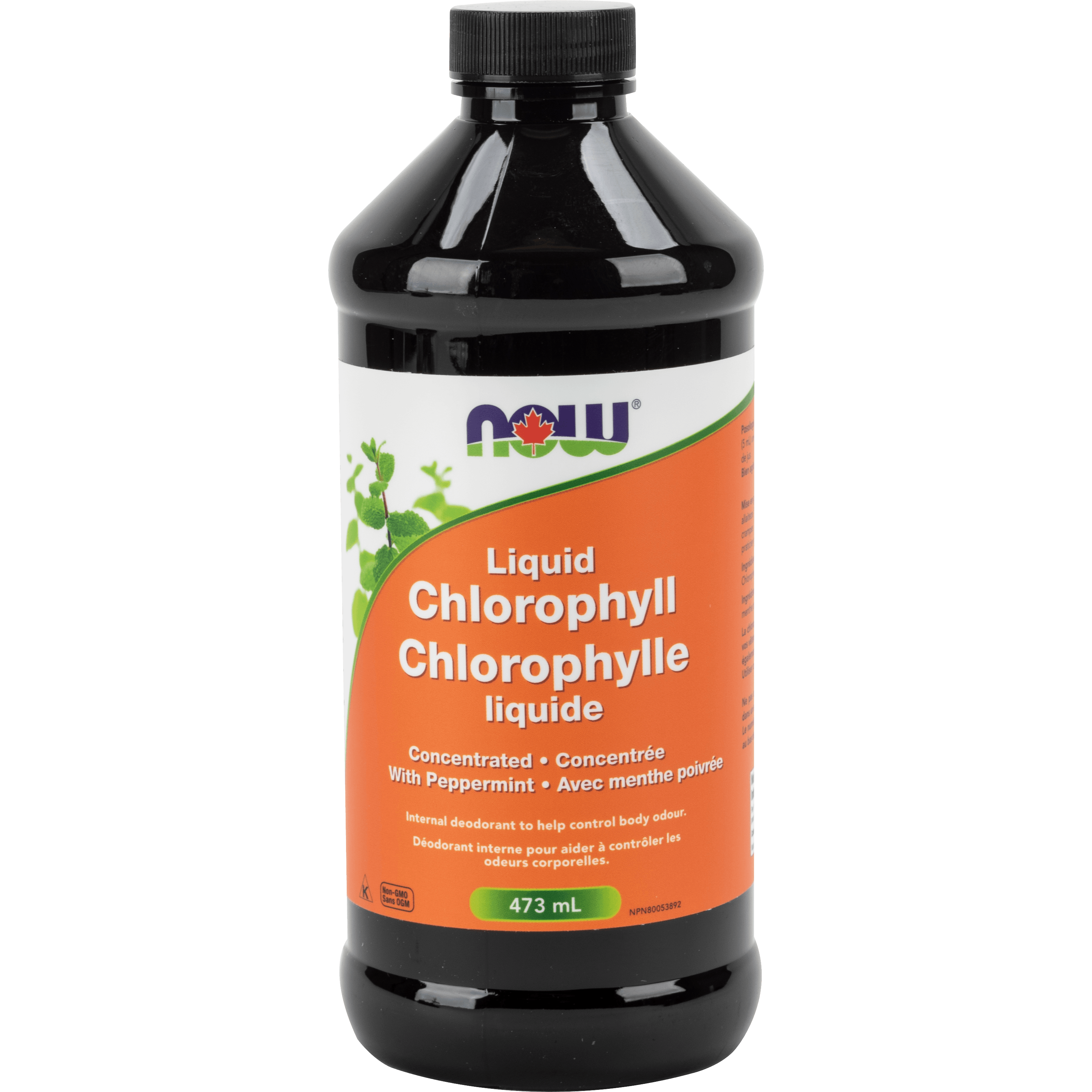 NOW Chlorophyll Liquid + Mint 473mL