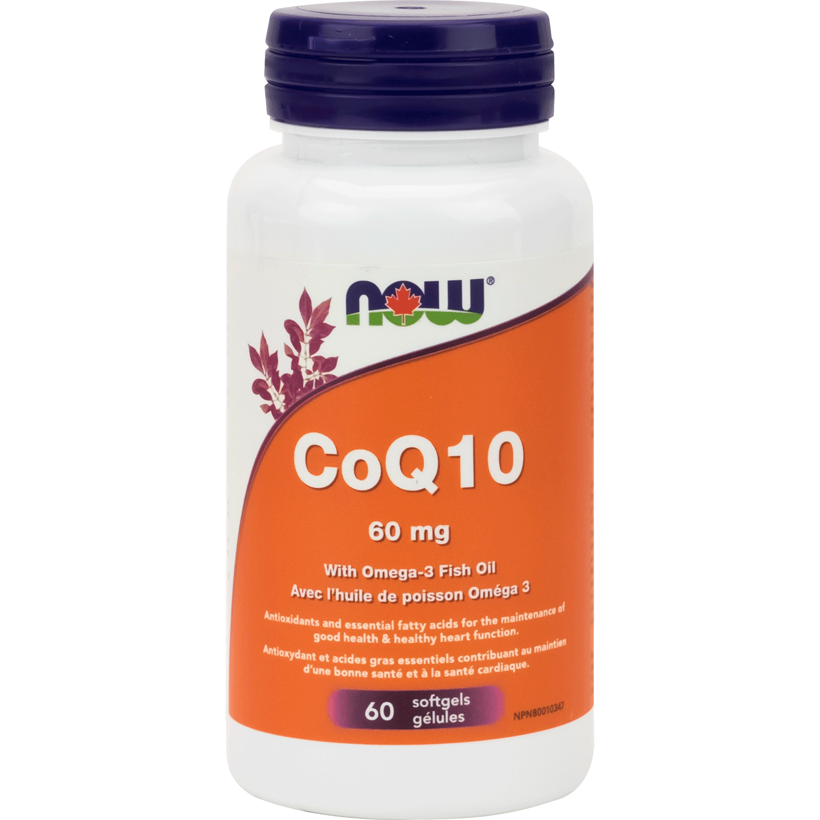 NOW Co-Q10 60mg with Lecithin Fish Oil 60 Softgels
