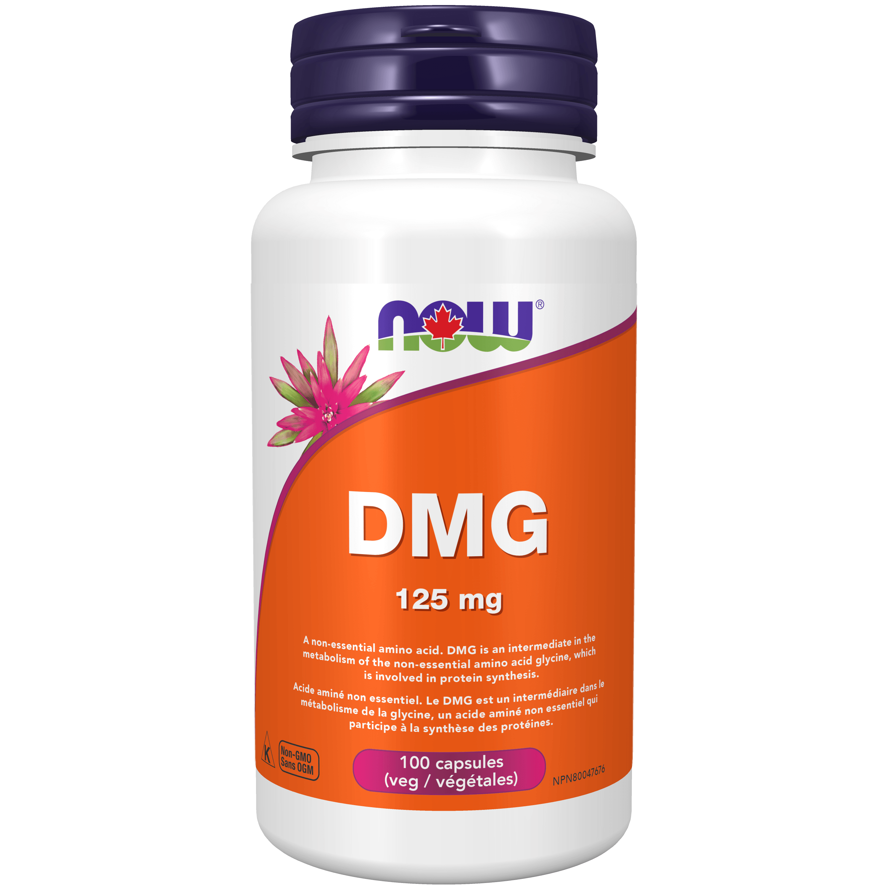 NOW DMG Dimethylglycine 125mg 100 Veg Capsules