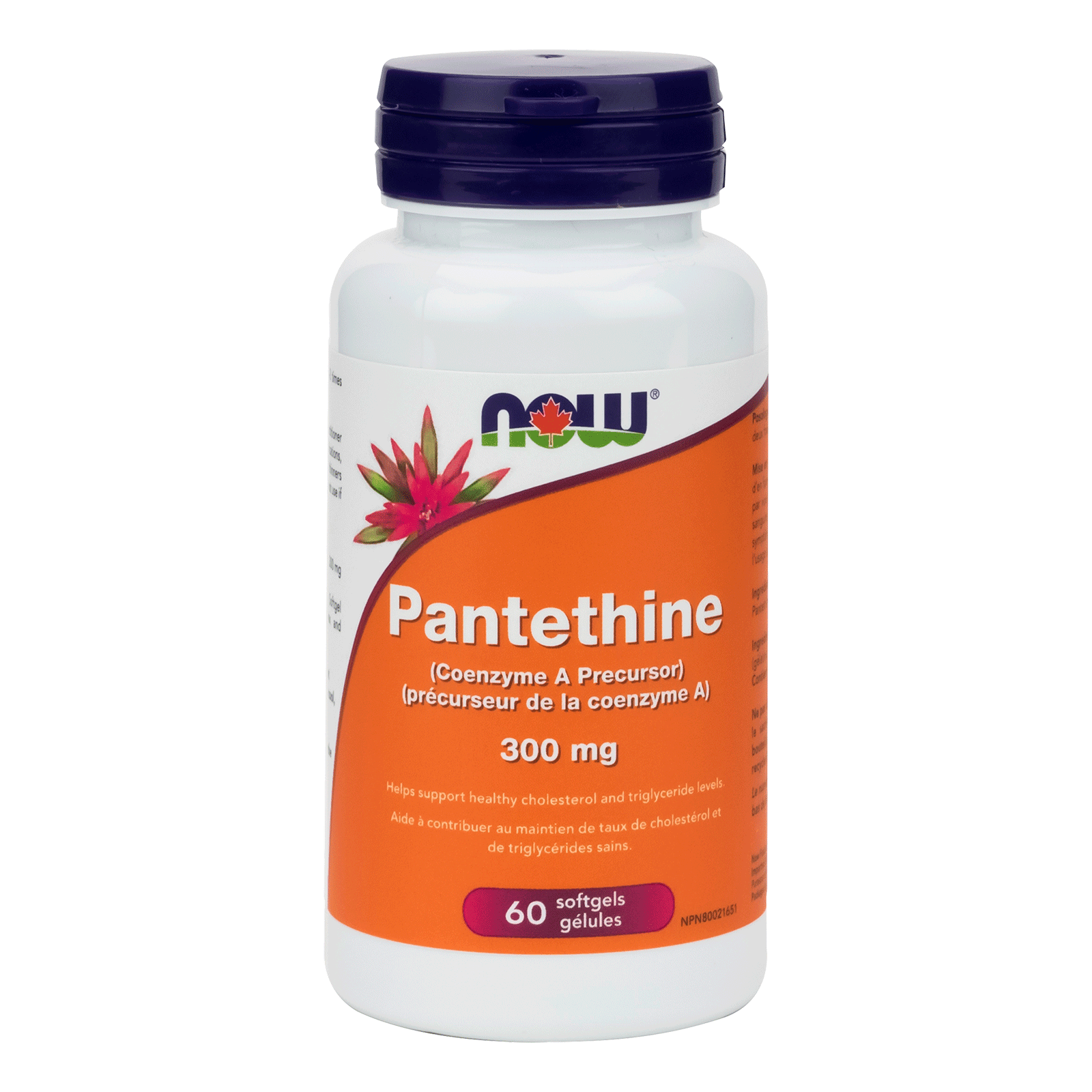 NOW Pantethine 300mg 60 Softgels